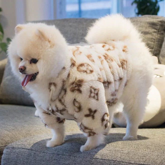 Pomeranian Best-Selling Accessories | Top Picks for Your Stylish Pup ...
