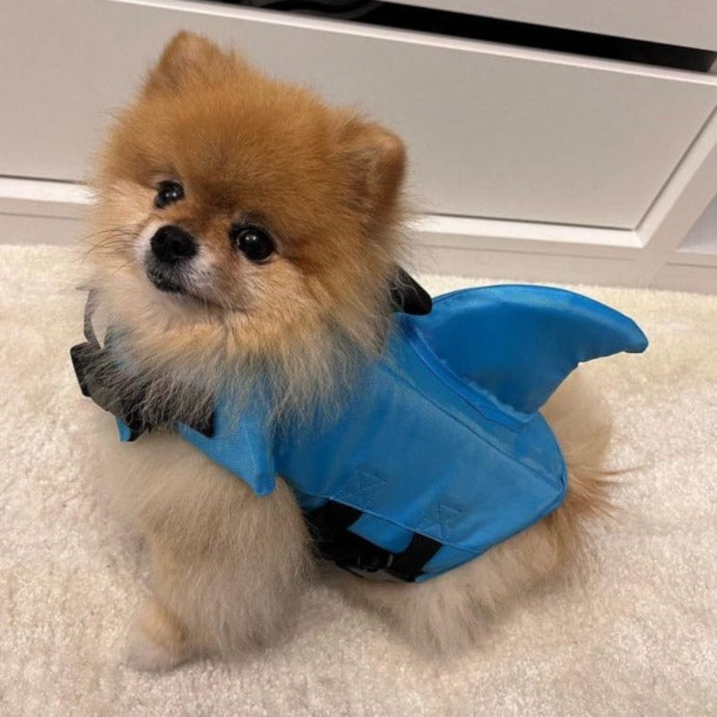 Pomiez-World Shark Vest | Bold & Fun Vest for Your Pomeranian – Pomiez ...